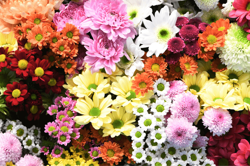 Beta Damascone Online | Beta Damascone Manufacturer and Suppliers